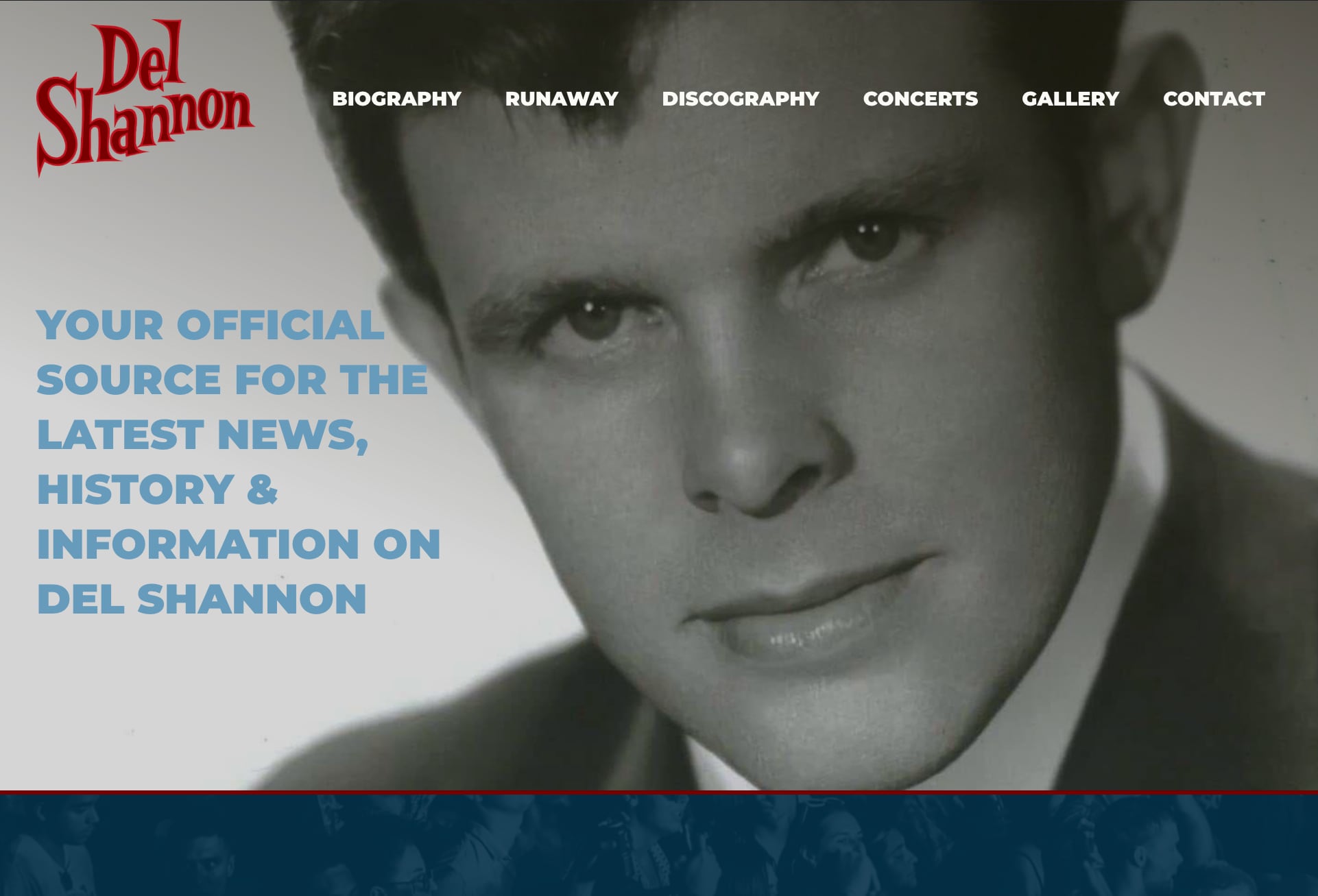 DelShannon.com